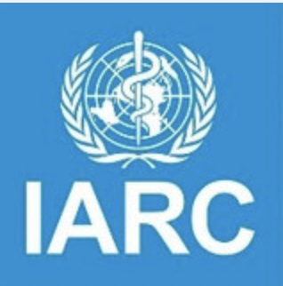 Centre International de Recherche sur le Cancer (CIRC) - Lyon ...