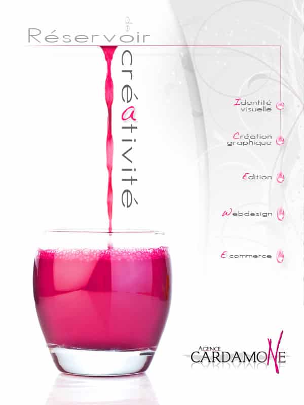 CARDAMONE - LE [Lyon-Entreprises]