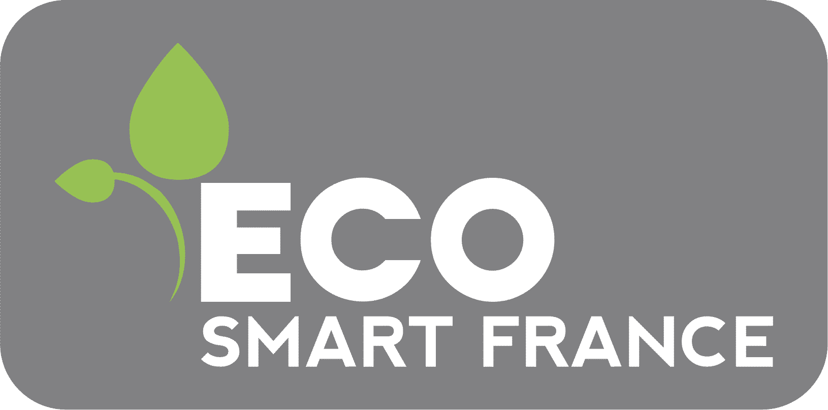 ECO SMART FRANCE - Lyon Entreprises [LE]